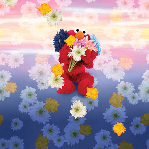 Elmo Flowers – Scrubs Uniforms